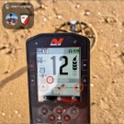 A Beginner’s Guide to the Minelab Manticore’s 2D Screen - Blog